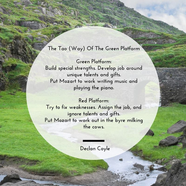 Working hard! - The Green Platform